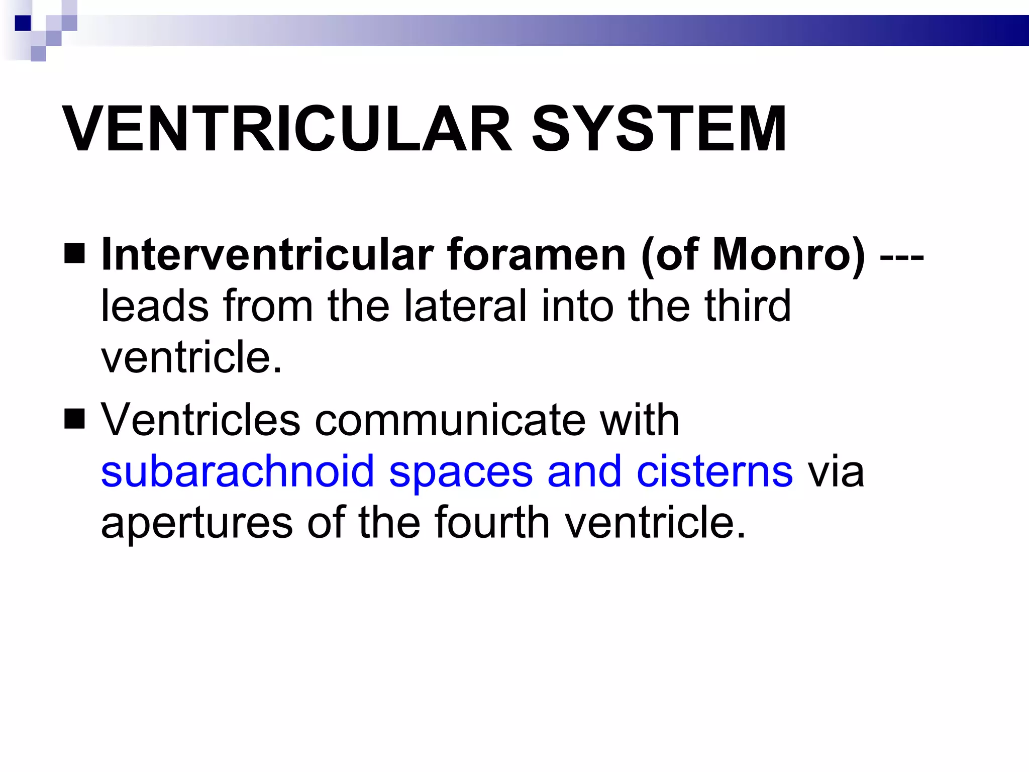 Ventricular system of brain final | PPT