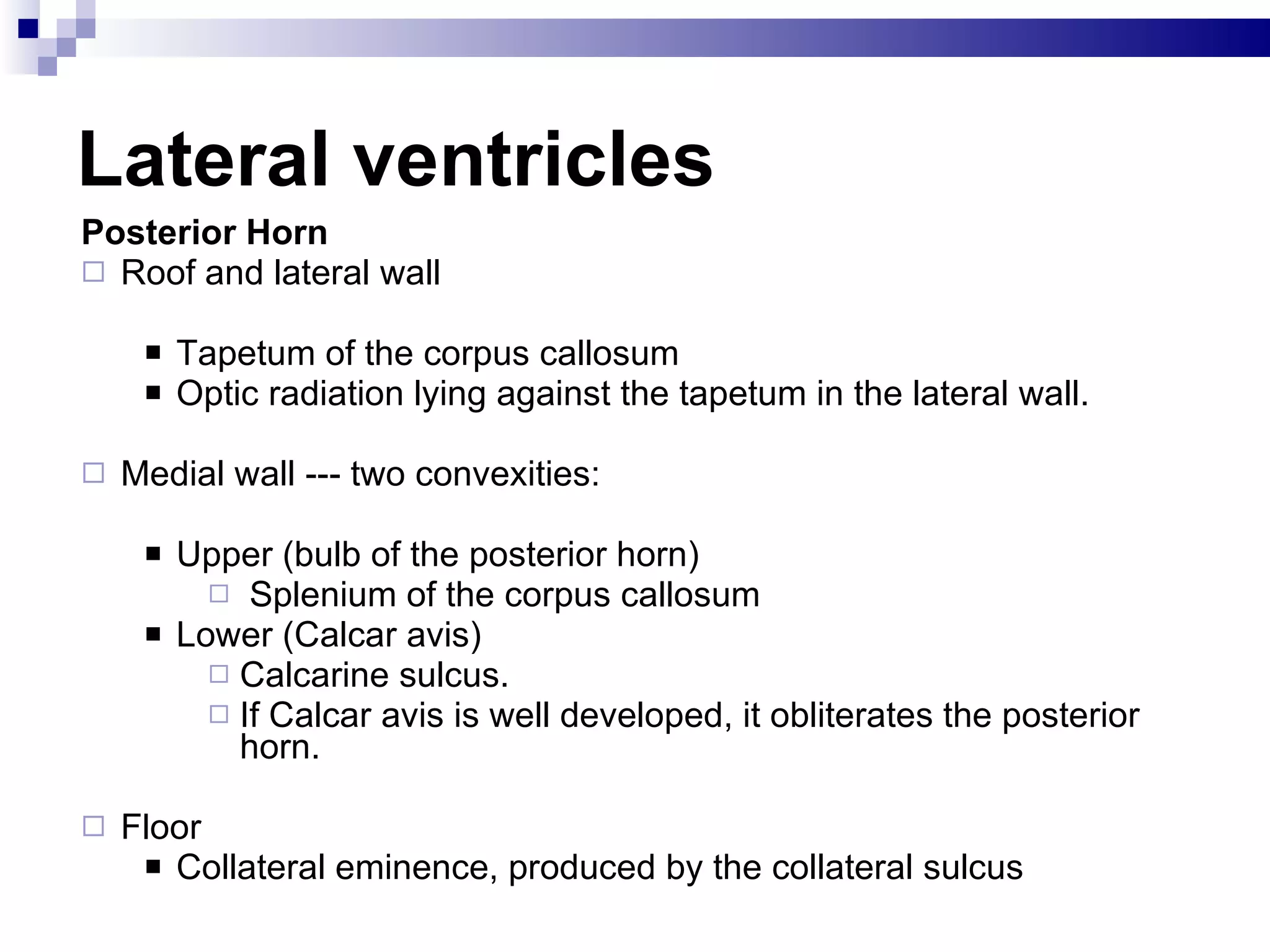 Ventricular system of brain final | PPT