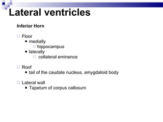 Ventricular system of brain final | PPT