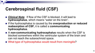 Ventricular system of the brain | PPTX