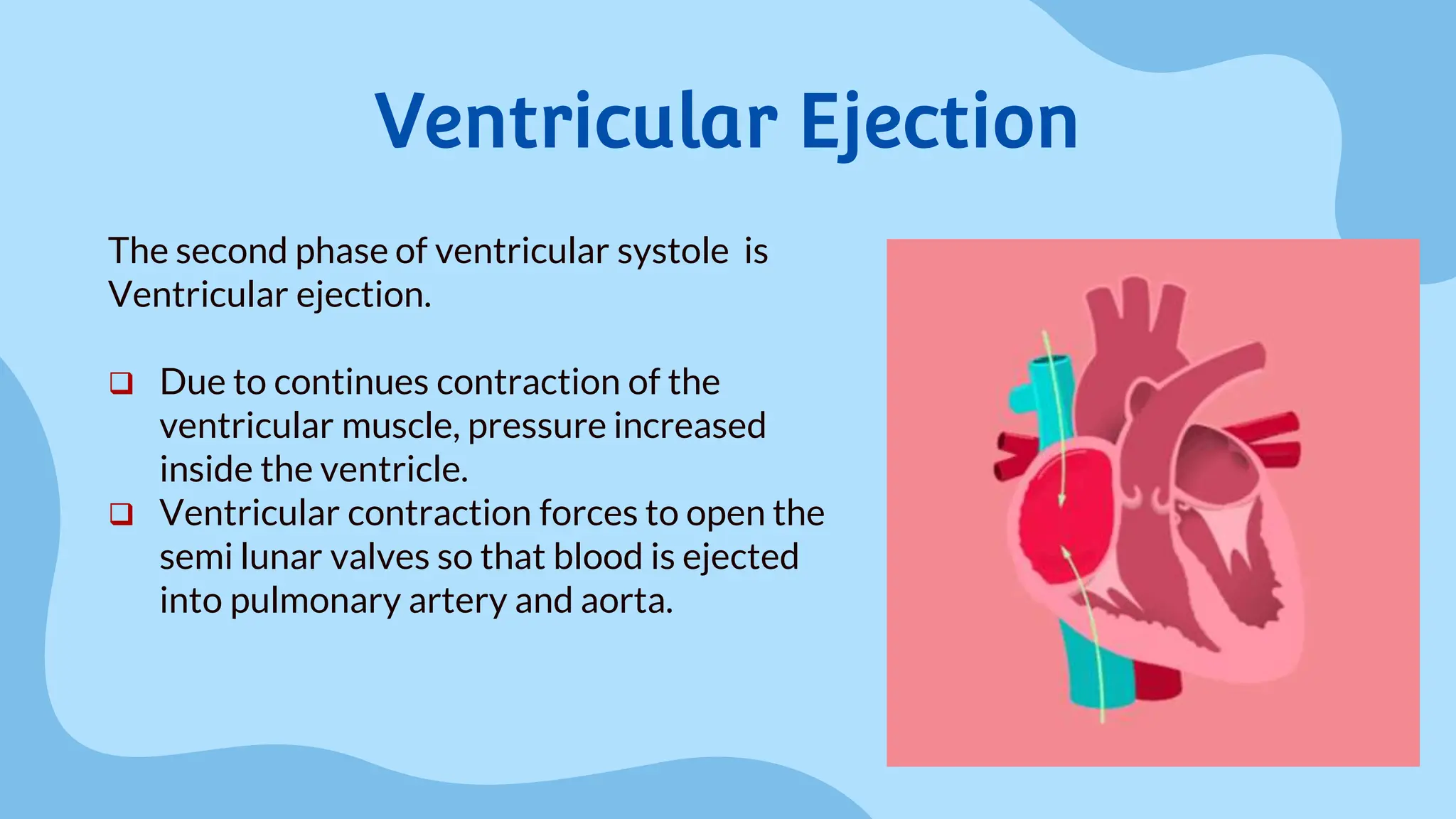 ventricular systole (cardiac cycle).pptx
