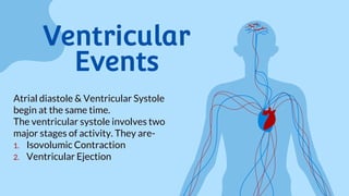 ventricular systole (cardiac cycle).pptx