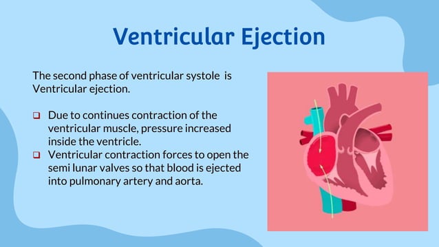 ventricular systole (cardiac cycle).pptx