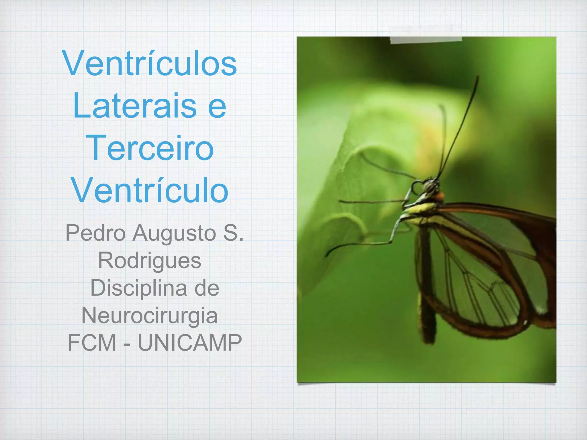 Ventriculos laterais e iii ventriculo | PPTX