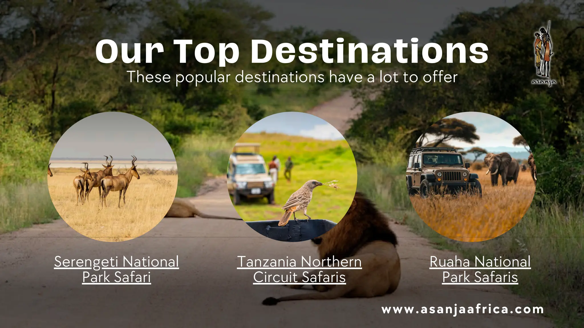 Venture Off the Beaten Path: Tanzania Northern Circuit Safaris | PPT ...