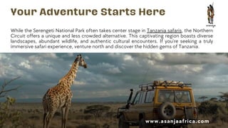 Venture Off the Beaten Path: Tanzania Northern Circuit Safaris | PPT ...