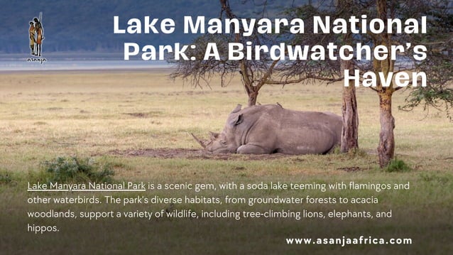 Venture Off the Beaten Path: Tanzania Northern Circuit Safaris | PPT ...