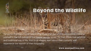 Venture Off the Beaten Path: Tanzania Northern Circuit Safaris | PPT