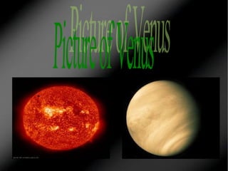 Venus | PPT