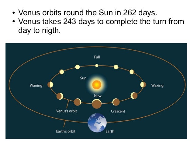 VENUS by Catalina, Núria C. and Onay