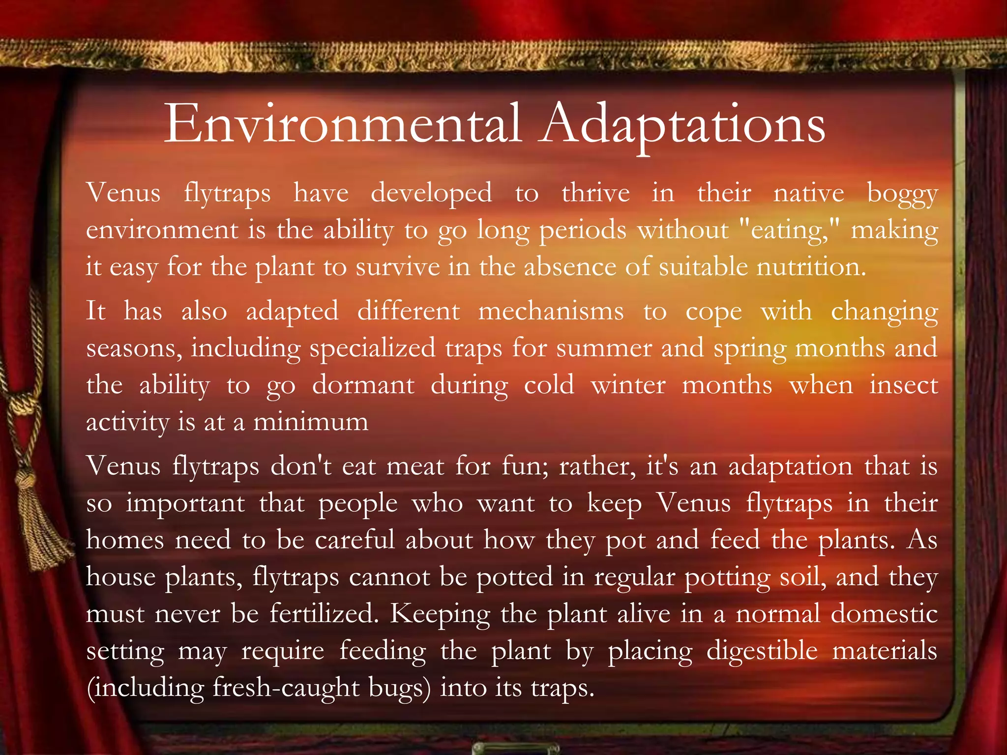 Venus fly trap | PPTX