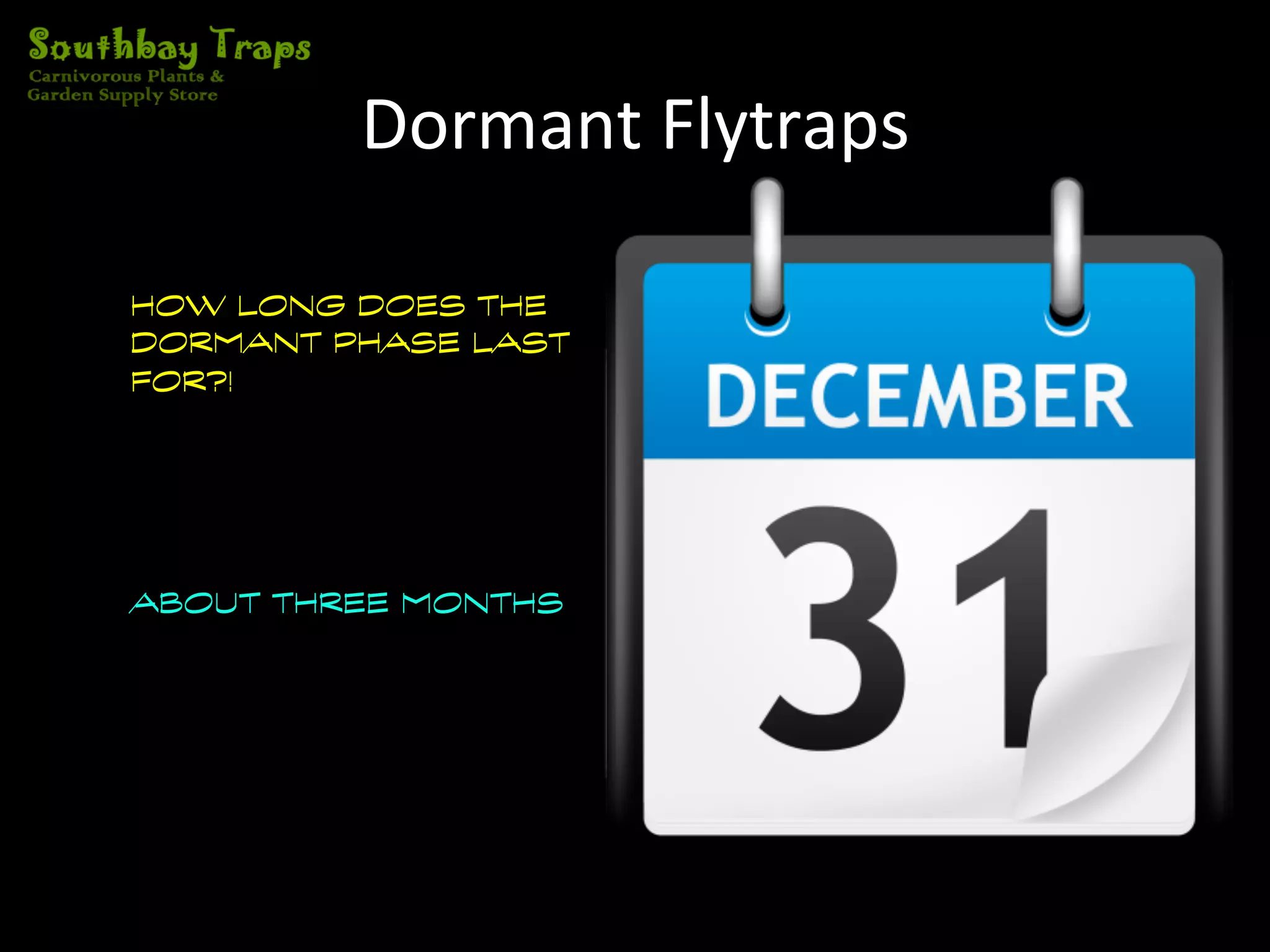 Venus Flytraps | Dormancy Phase | PDF