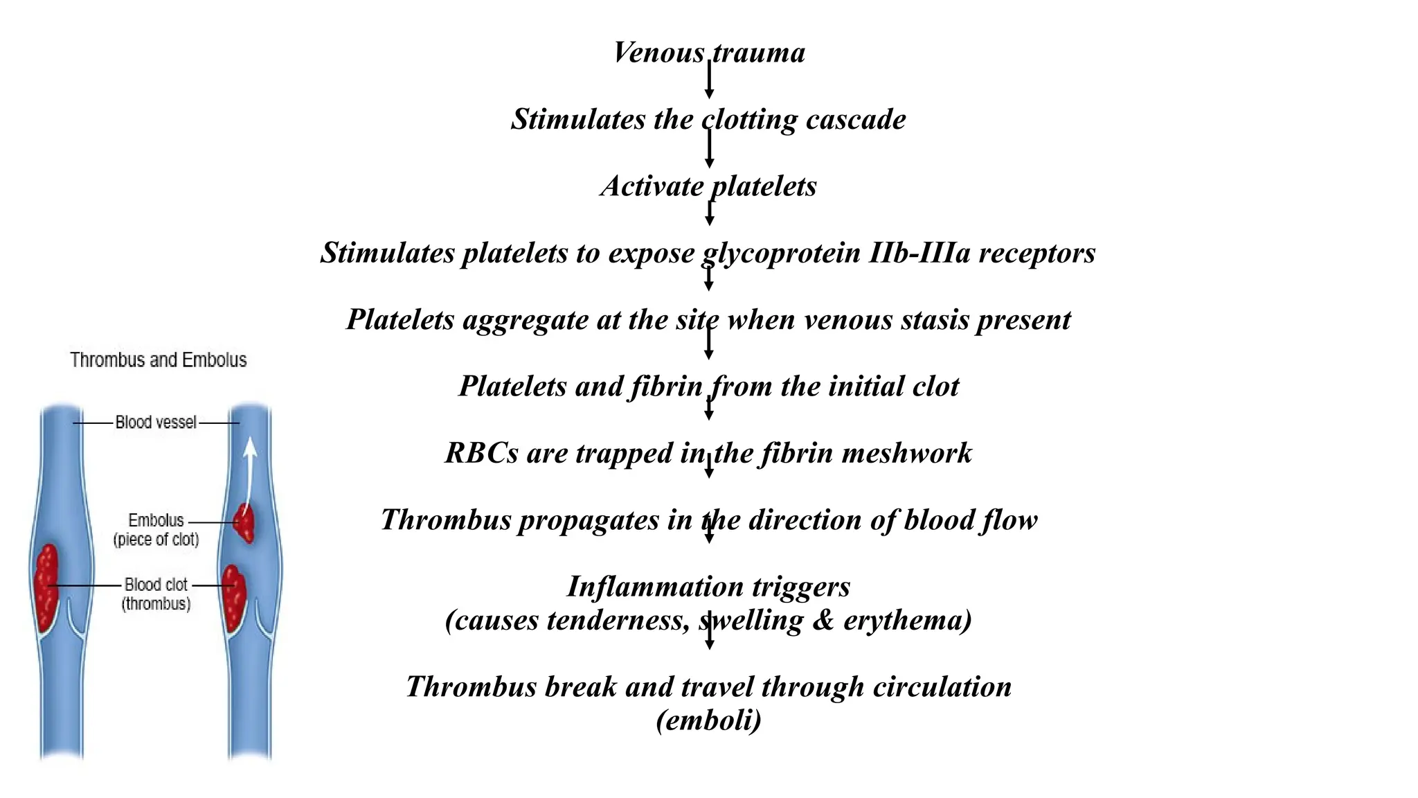 Venus thromboelisms.pptxkkkkkkkkkkkkkkkkkkkkkkkk | PPTX