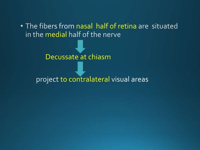 Visual evoked potential and BAER | PPTX | Eye and Vision Conditions ...