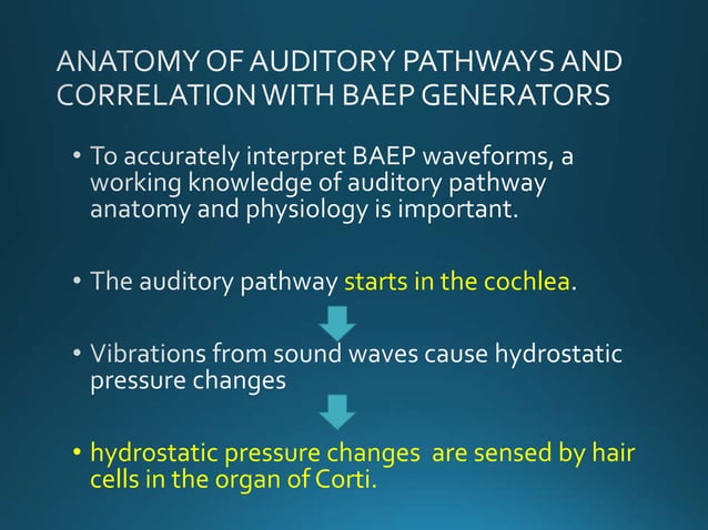 Visual evoked potential and BAER | PPTX | Eye and Vision Conditions ...
