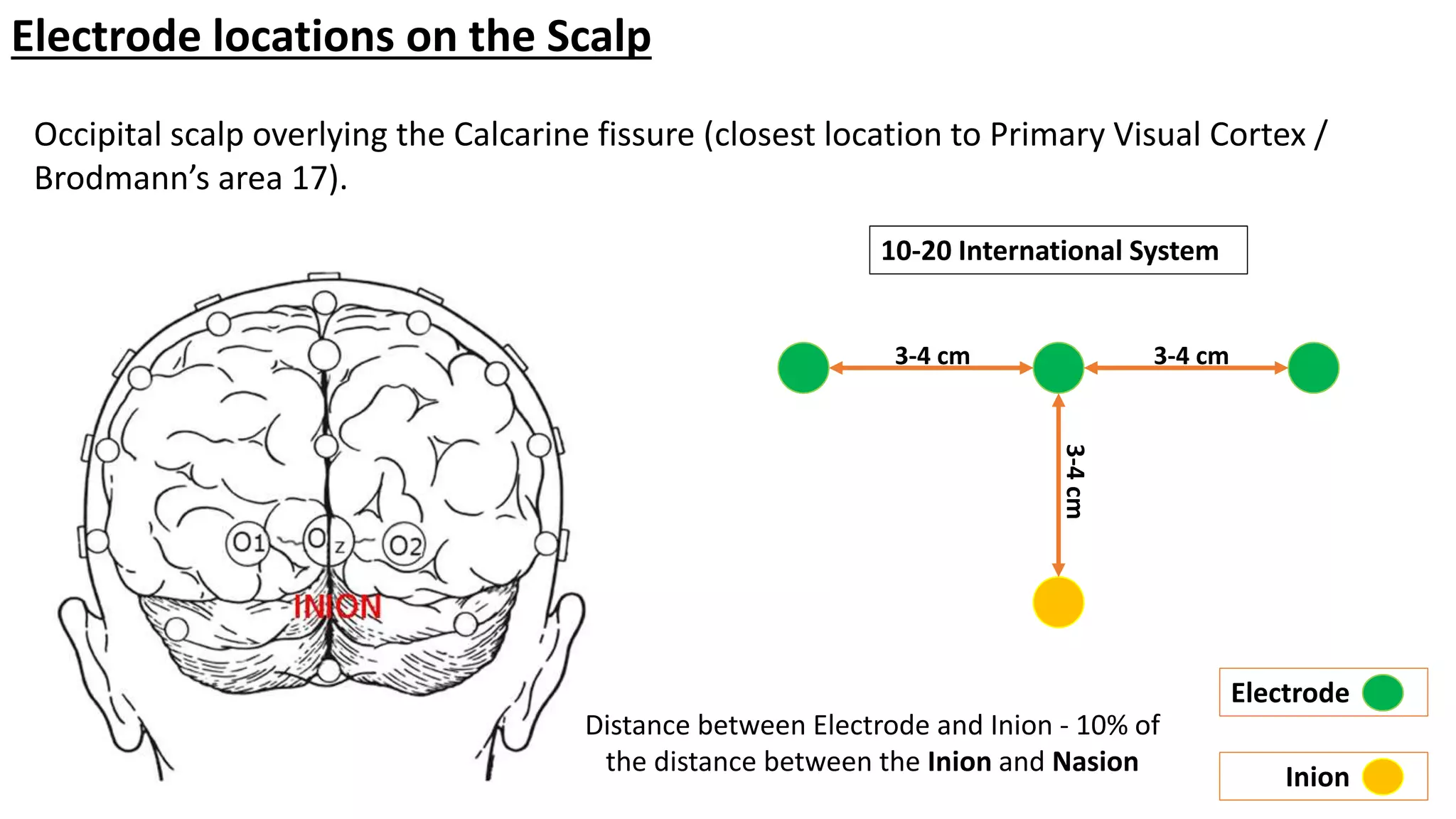 Visual Evoked Potential | PPTX