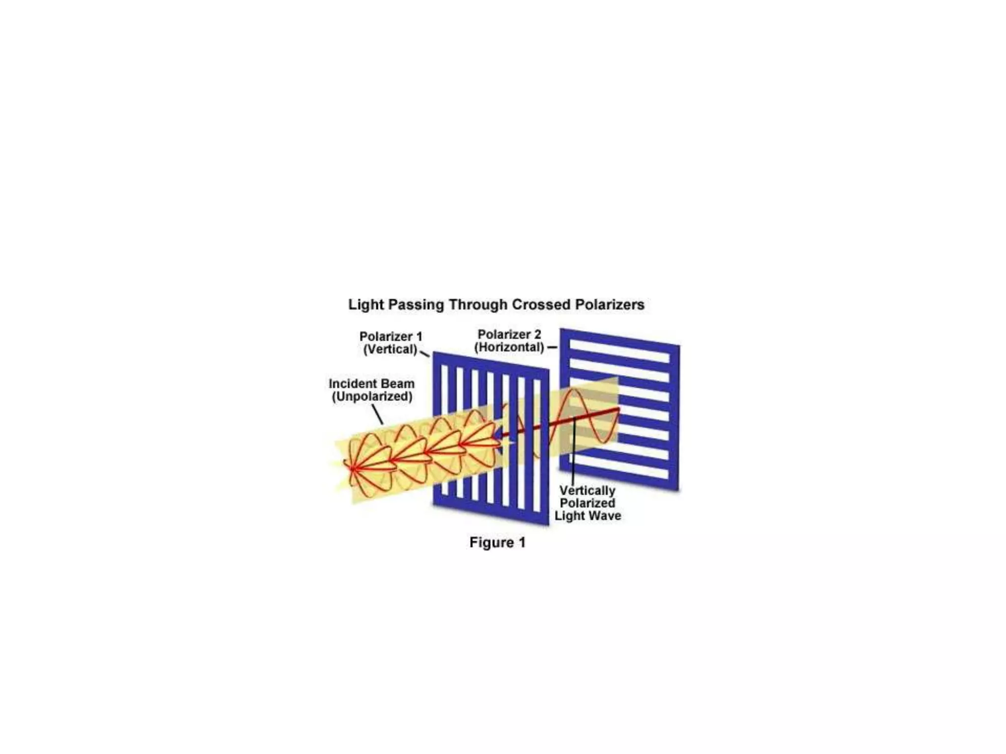 Polarizing Light Microscopy | PPTX