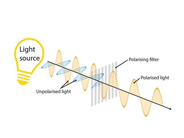 Polarizing Light Microscopy | PPTX | Physics | Science