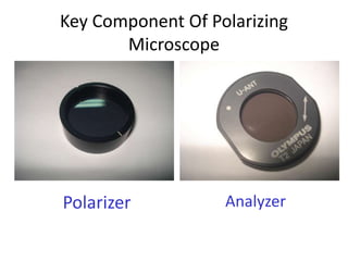 Polarizing Light Microscopy | PPTX | Physics | Science