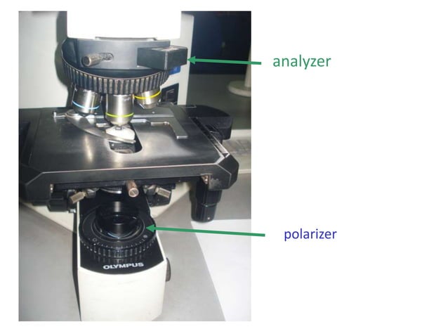 Polarizing Light Microscopy | PPTX | Physics | Science