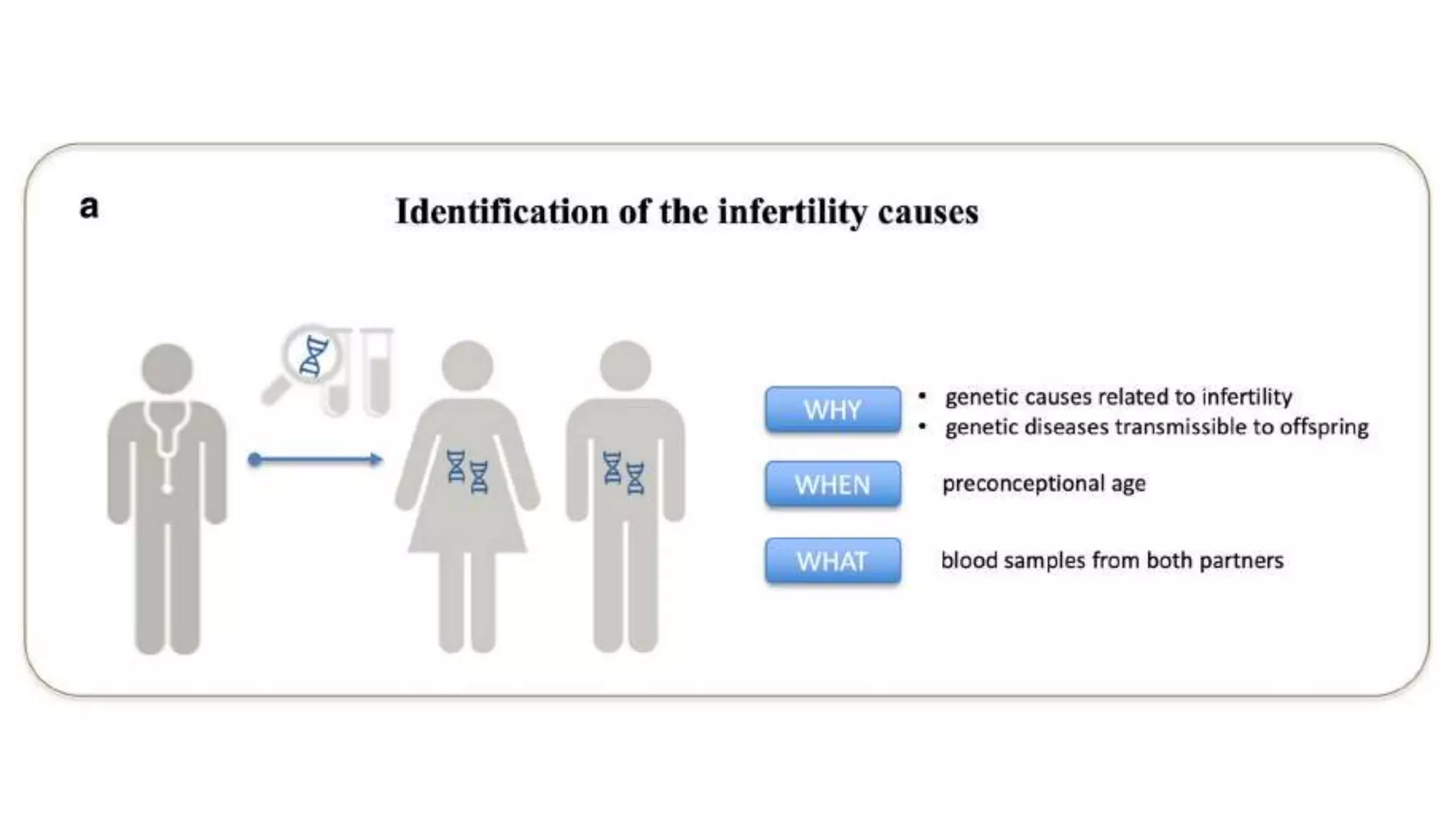 investigation of infertility with focus on genetic basis of infertility ...