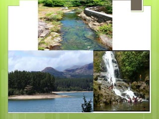 Veraguas | PPTX