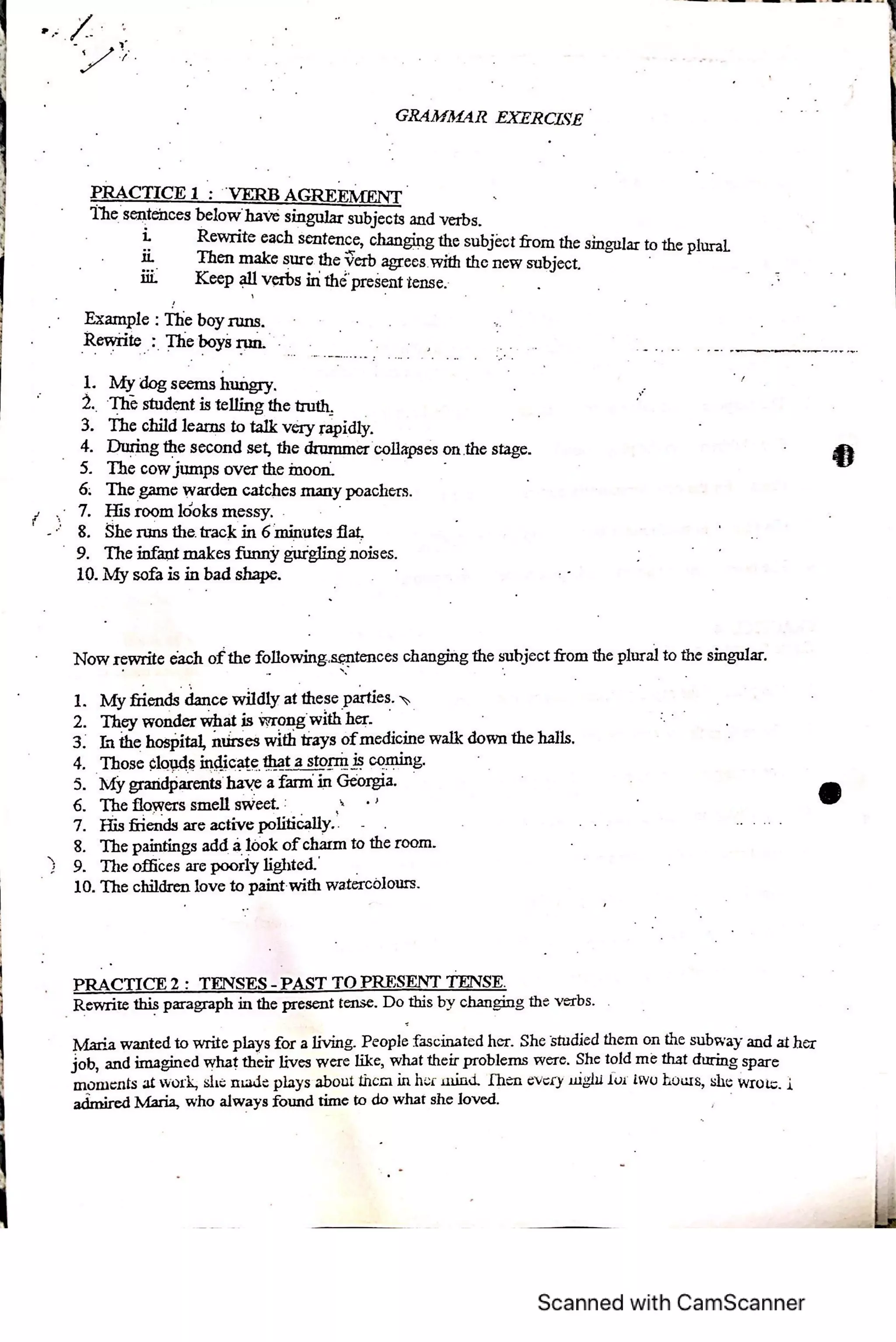 Verb agreement exercises | PDF