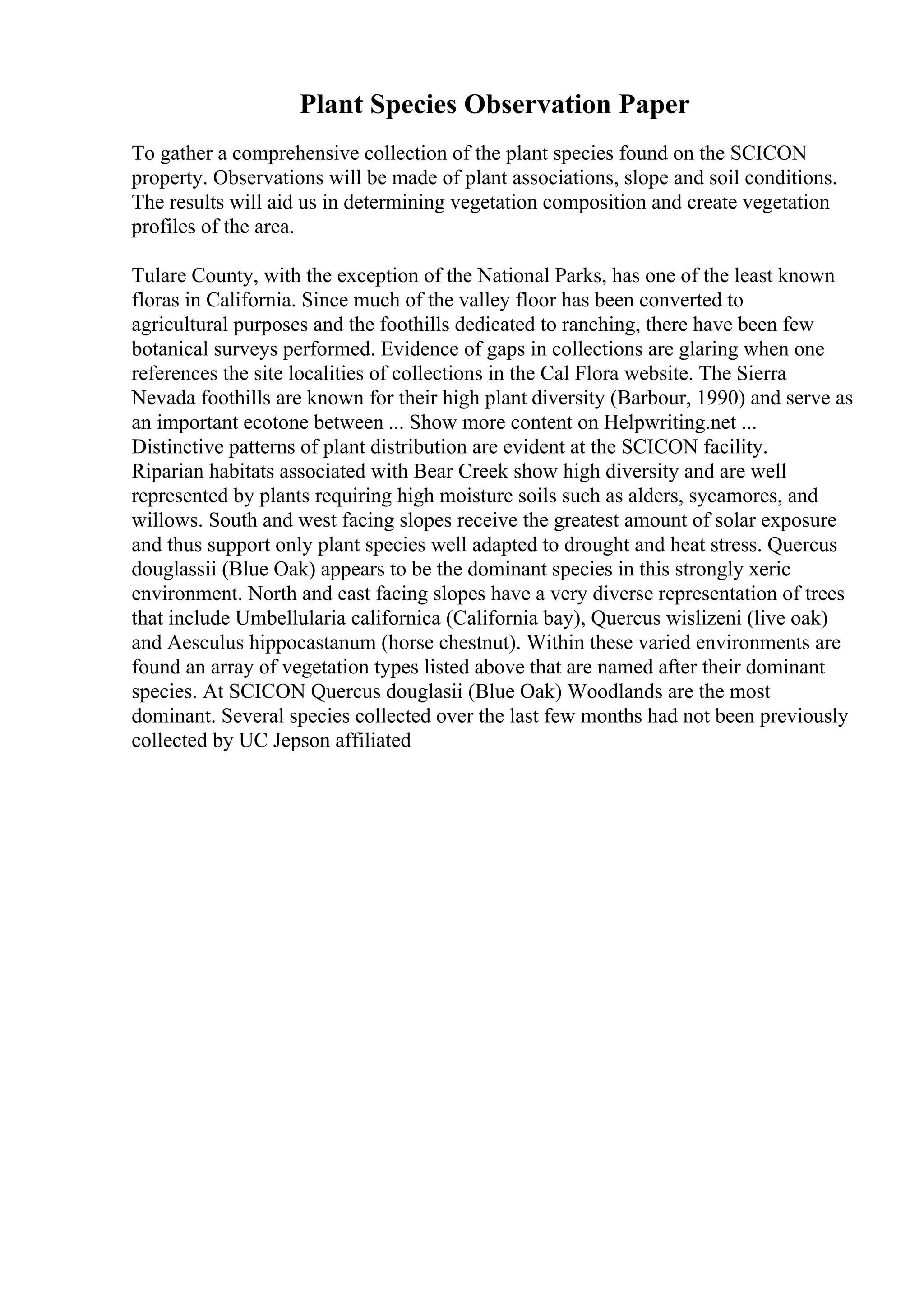 Verbal And Nonverbal Communication Essay | PDF