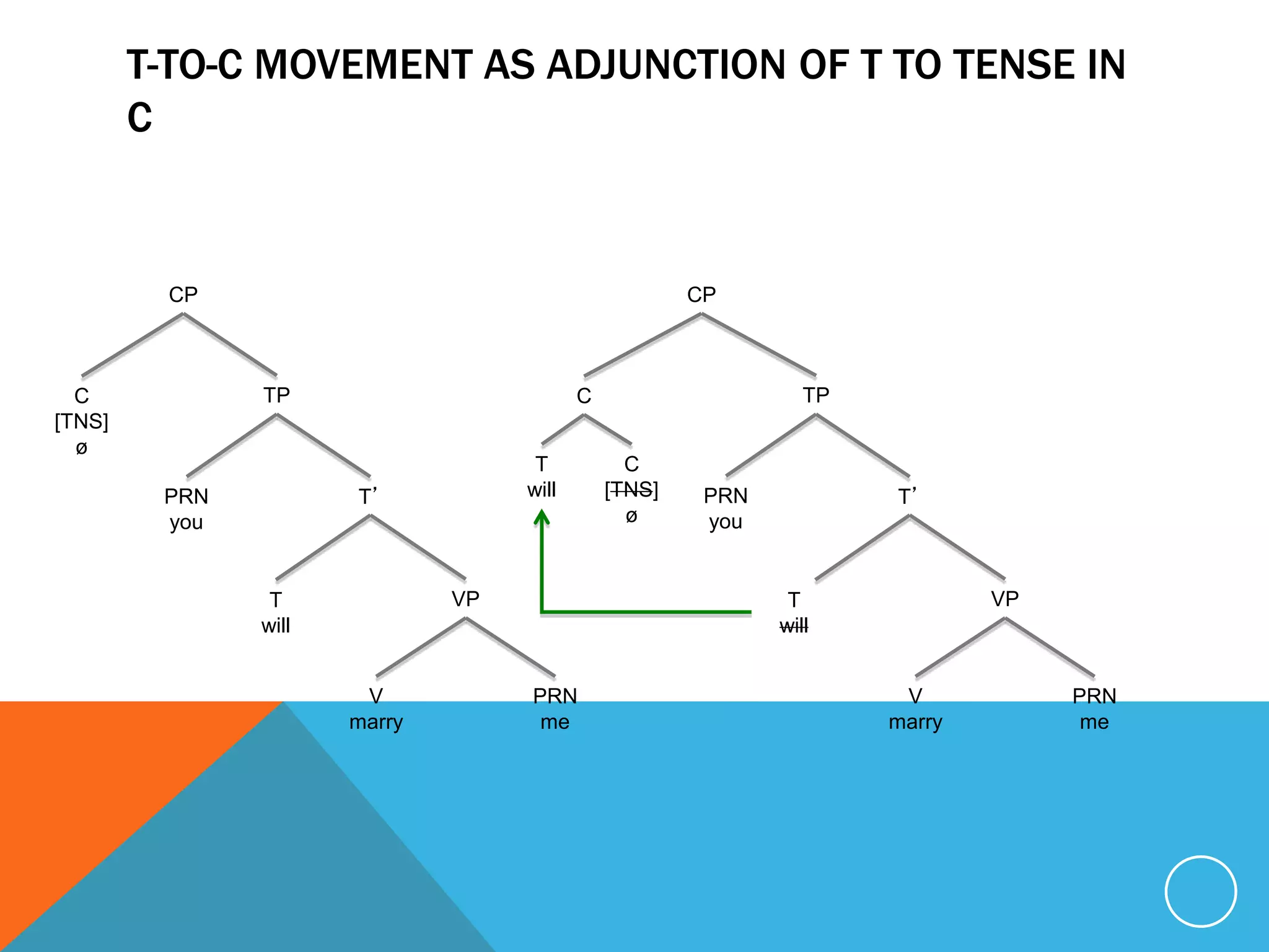verb_and_head_movement.ppt