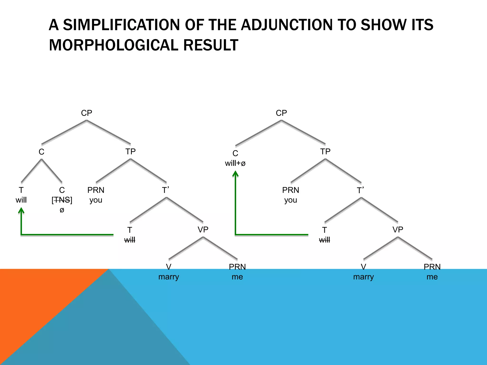 verb_and_head_movement.ppt