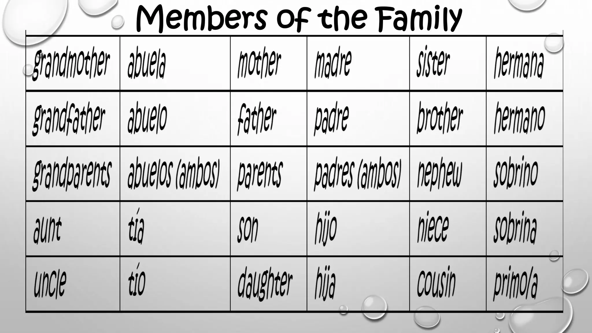 Verb be & the family | PDF