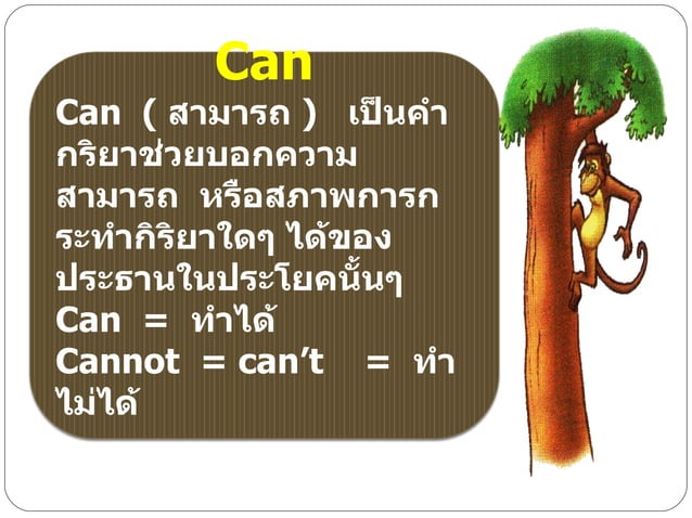 การสอน Verb can | PPT
