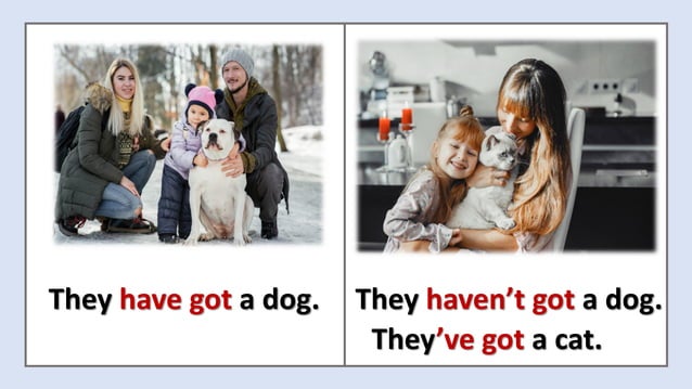 Verb have got - Present Simple | PDF