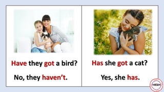 Verb have got - Present Simple | PDF