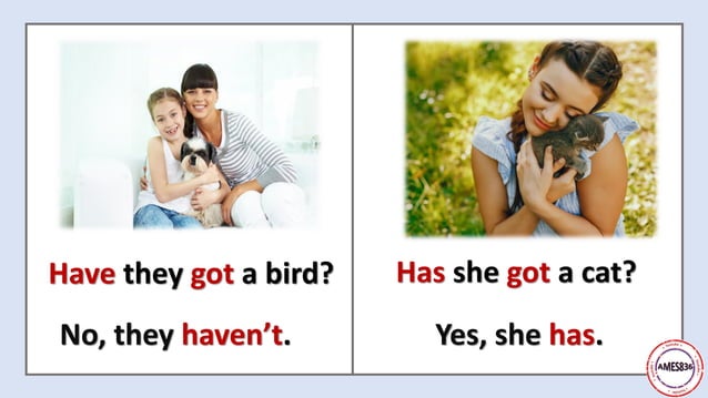 Verb have got - Present Simple | PDF