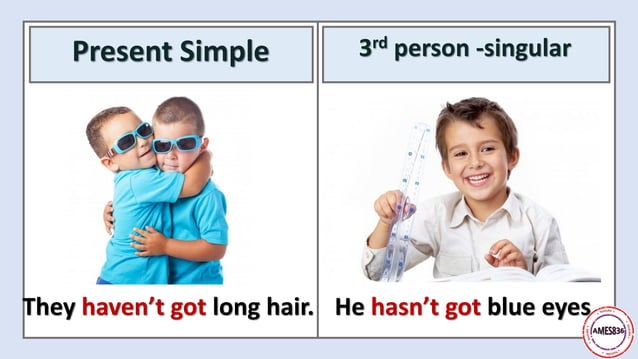 Verb have got - Present Simple | PDF