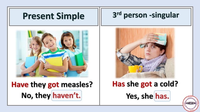 Verb have got - Present Simple | PDF