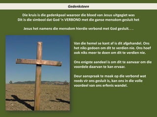 Verbond | PPT