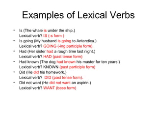 Verbs2 | PPT