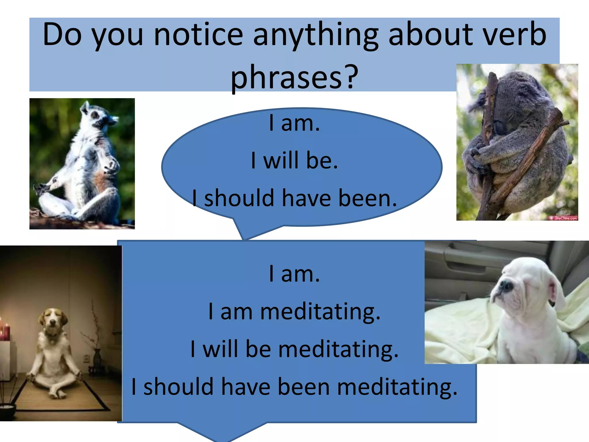 Verbs_2013_powerpoint.ppt