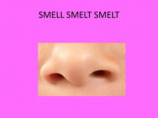 Verbs acabats | PPTX