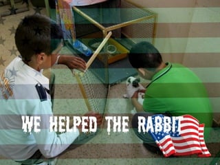 English project: verbs in the past | PPT