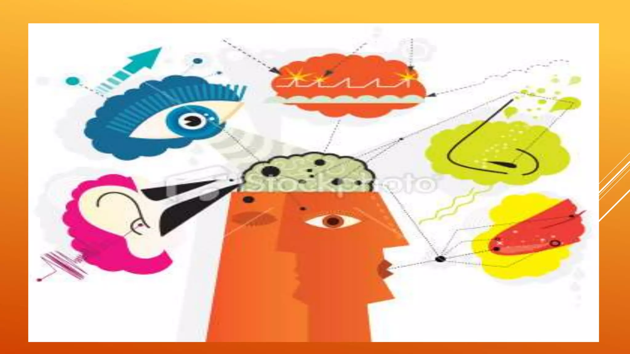 Verbs of perception | PPTX