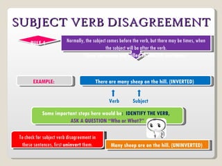 Verb & subject verb agreement | PPT | Soccer | Sports