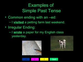 Verbs With Phineas And Ferb | PPT