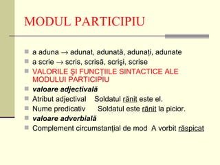 Verbul - noțiuni teoretice | PPT