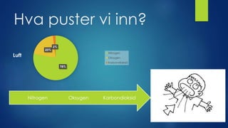 Vann og luft | PPT