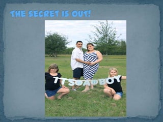 Verdin family | PPT