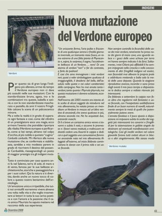 Verdone%20europeo | PDF