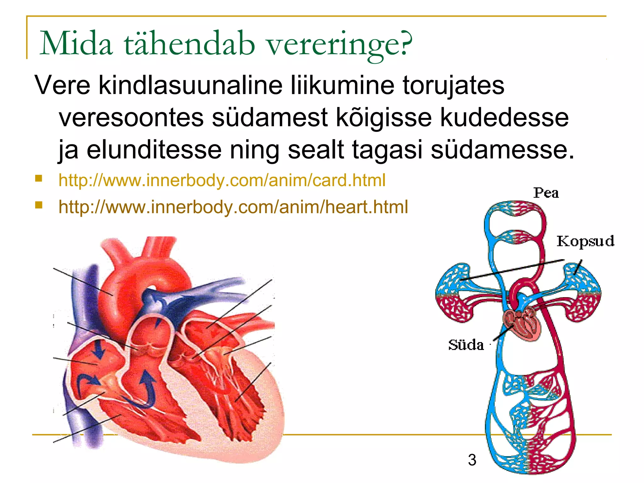 Vereringeelundkond | PPT